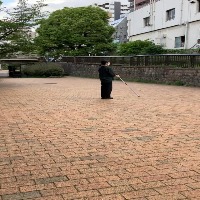 Obstacles-canes-Detection Object Detection Dataset and Pre-Trained Model by PFEObstacleRecognition