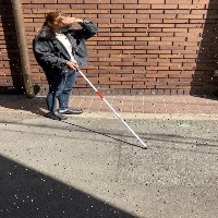 Obstacles-canes-Detection Object Detection Dataset and Pre-Trained Model by PFEObstacleRecognition