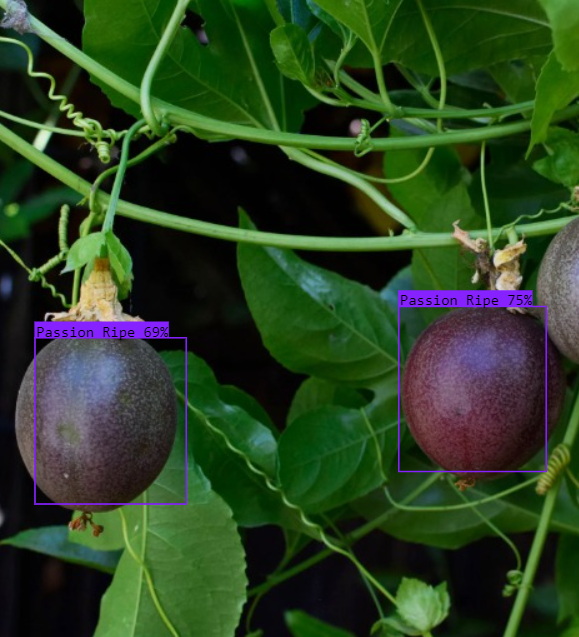 Passion Fruit Project Object Detection Dataset and Pre-Trained Model by ADU