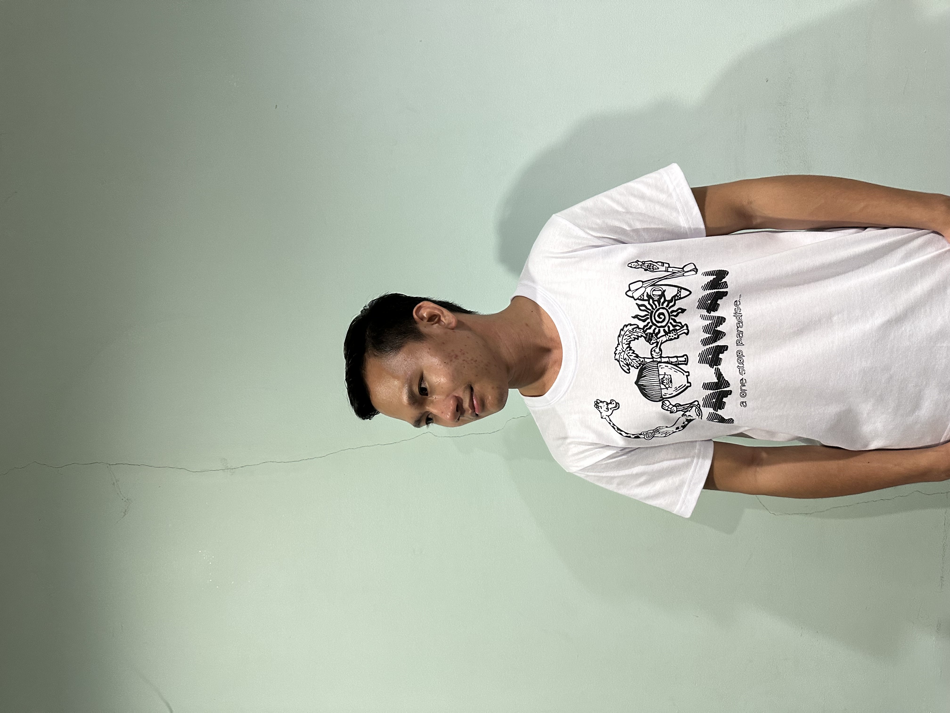 Secuguard Dataset And Pre Trained Model By Msuiit