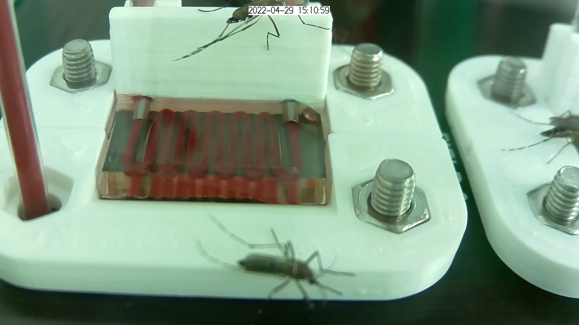 Miller Lab (miller-lab-qhnzp) - Roboflow Universe