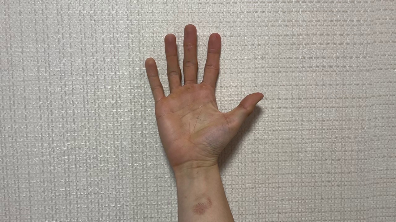 hand_v3 Object Detection Dataset by project-fgv4d