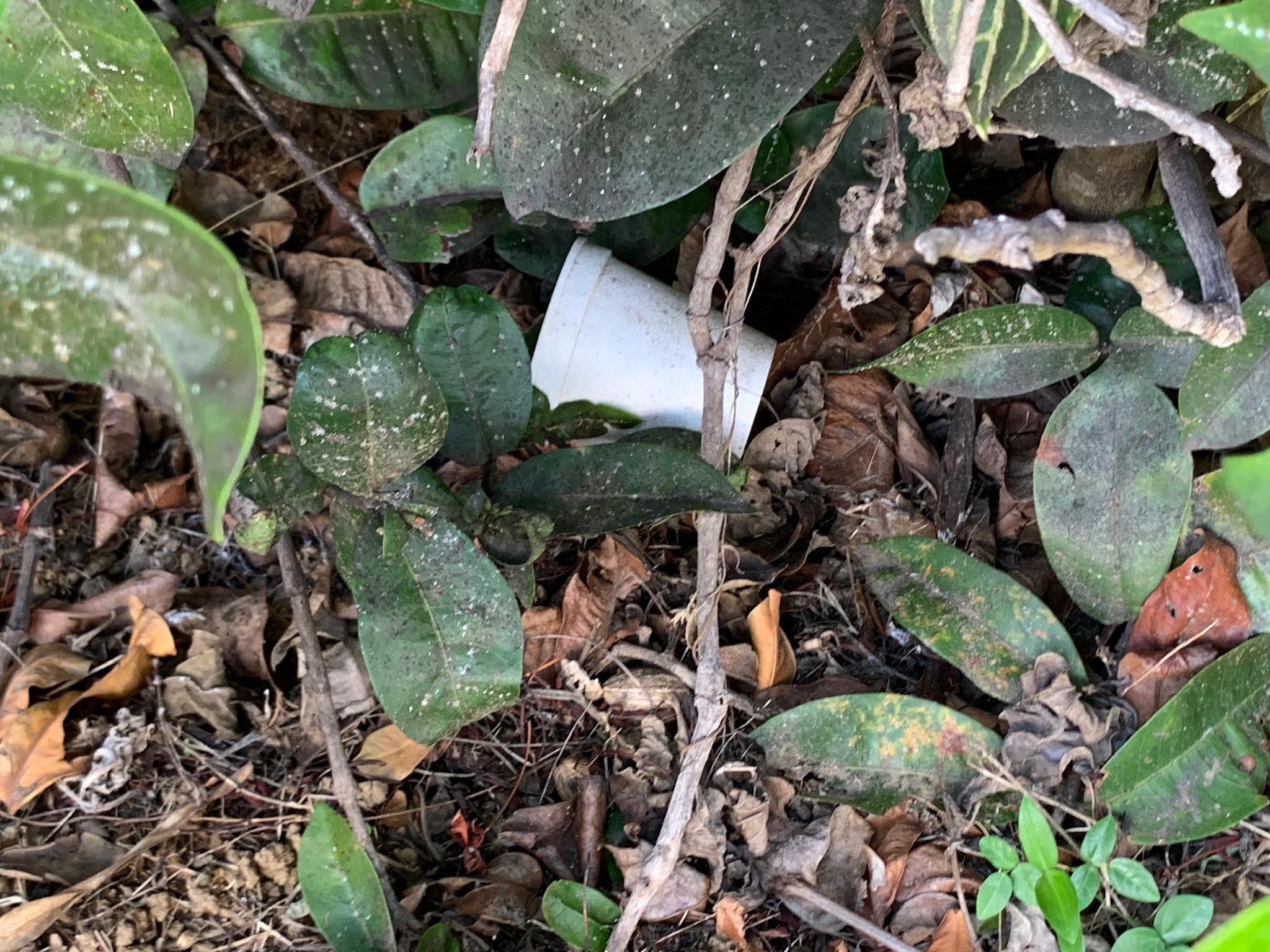 TACO_TN_UAV_2 Object Detection Dataset and Pre-Trained Model by Trash Recognition Fixed