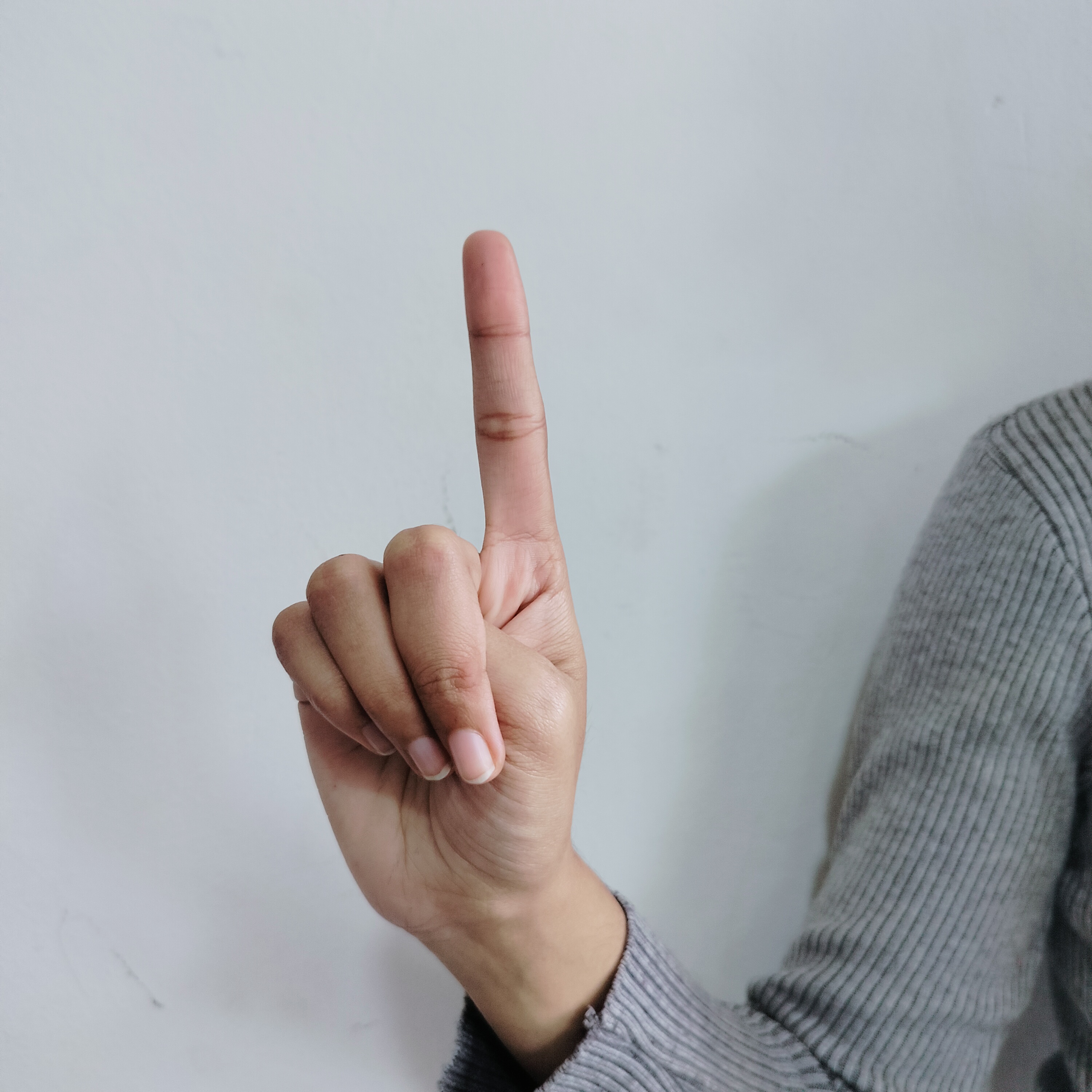 hand detection Object Detection Dataset and Pre-Trained Model by final year project