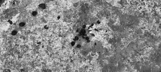 Nodes Object Detection Dataset By Mohit Sai Aravind