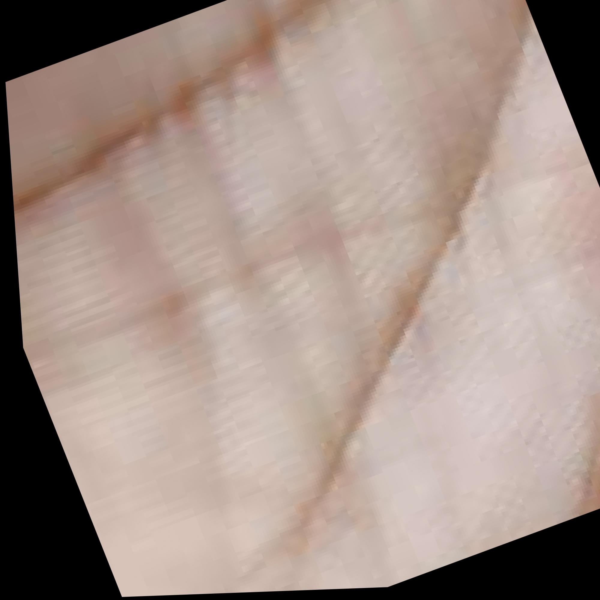 verify_palm Object Detection Dataset by myplace