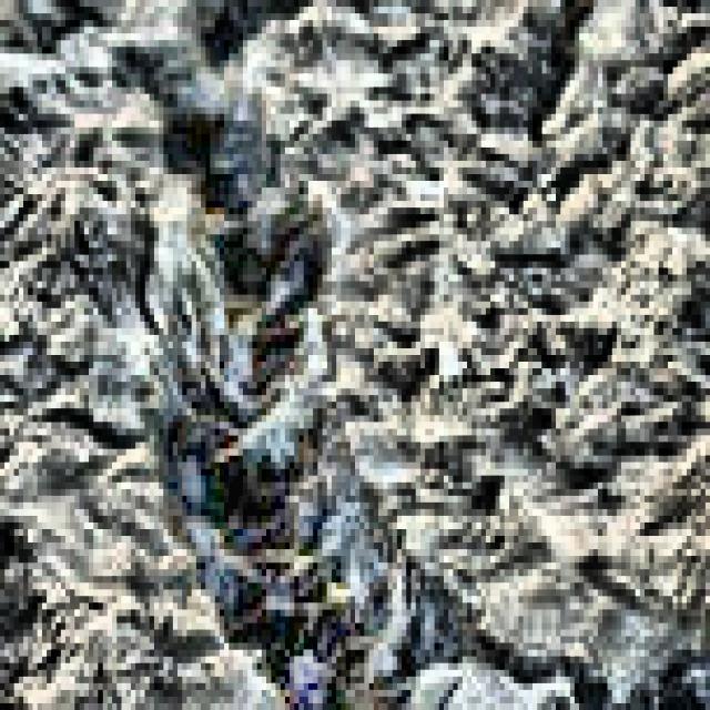 Soil Detection Object Detection Dataset and Pre-Trained Model by excavator