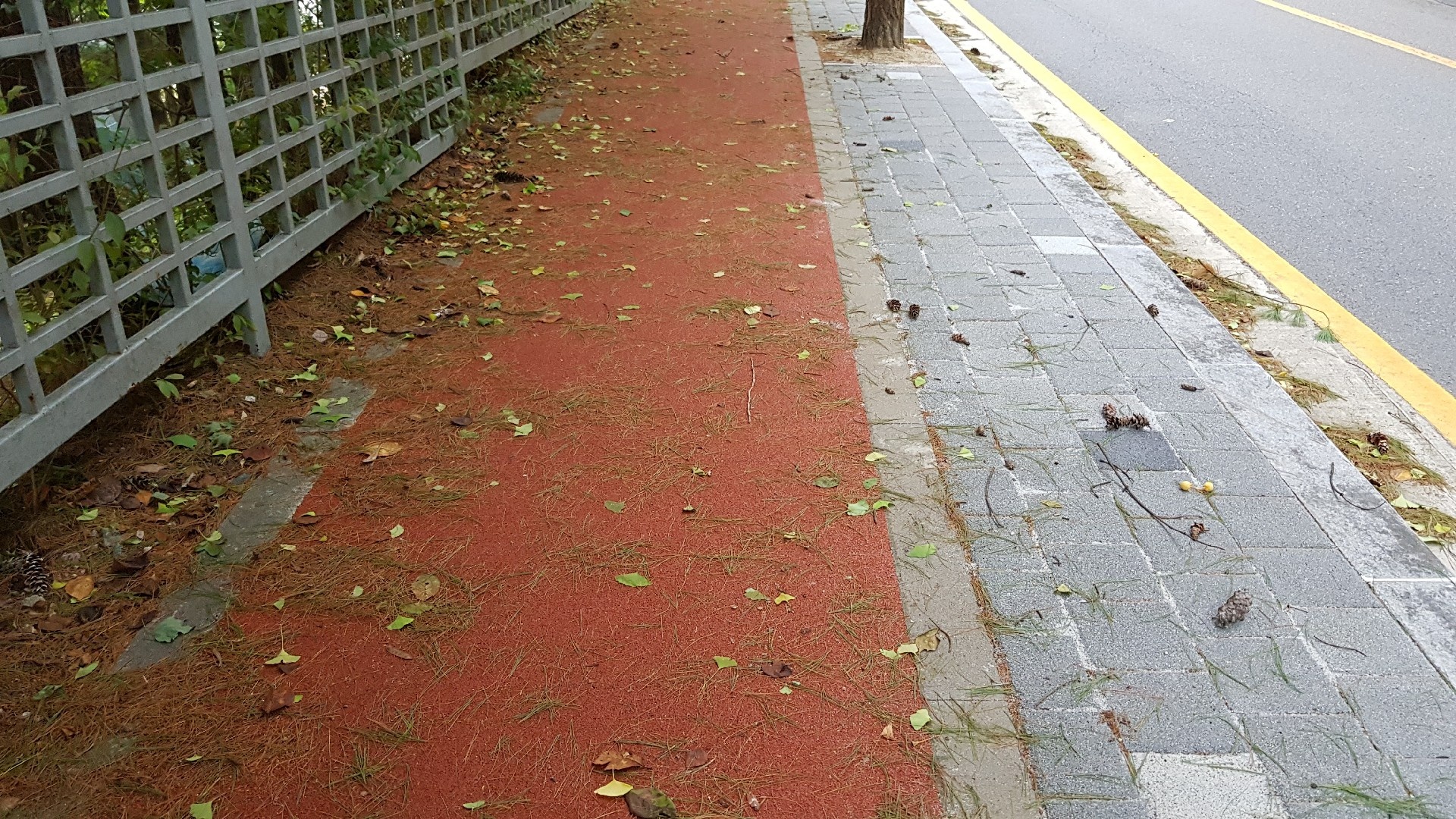 personal mobility no parking zone detection Object Detection Dataset ...