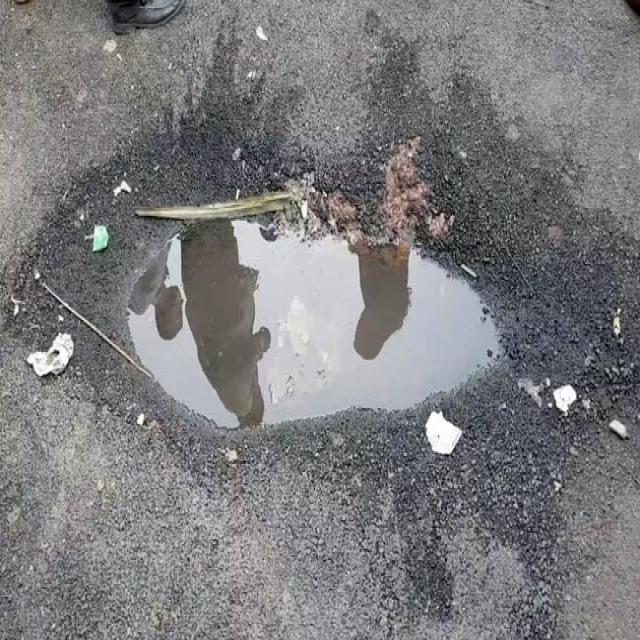 How to Use the Pothole Detection Object Detection API