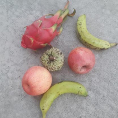 fruits detection Object Detection Dataset and Pre-Trained Model by fruits