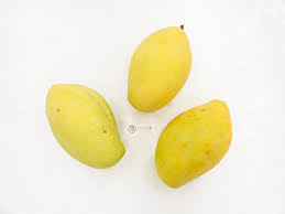 Mango Test 2 Object Detection Dataset by Mango