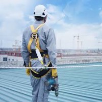 Safety Harness Dataset Object Detection Dataset by parkhm