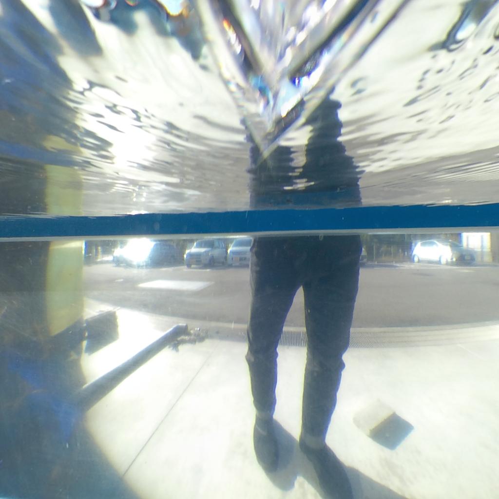 fish detection Object Detection Dataset and Pre-Trained Model by ...