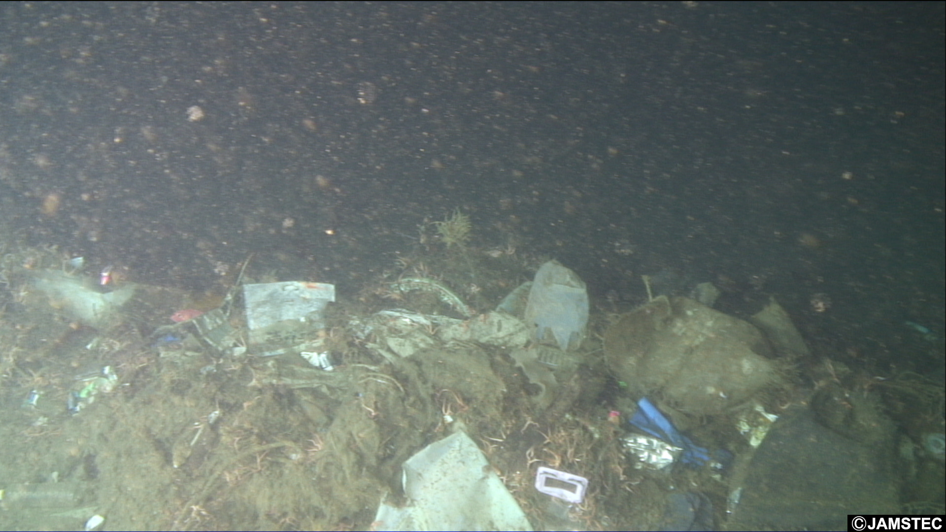 Plastic Detection Object Detection Dataset By Ssd Training