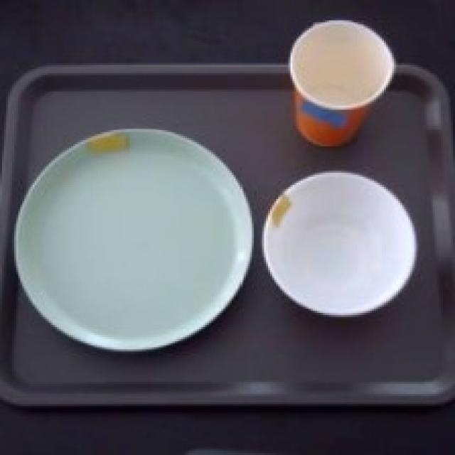 Plate Object Detection Dataset by creative mind