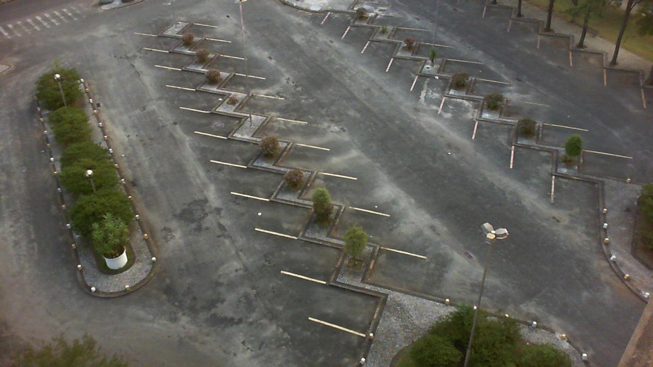 How to Use the ML Object Detection API