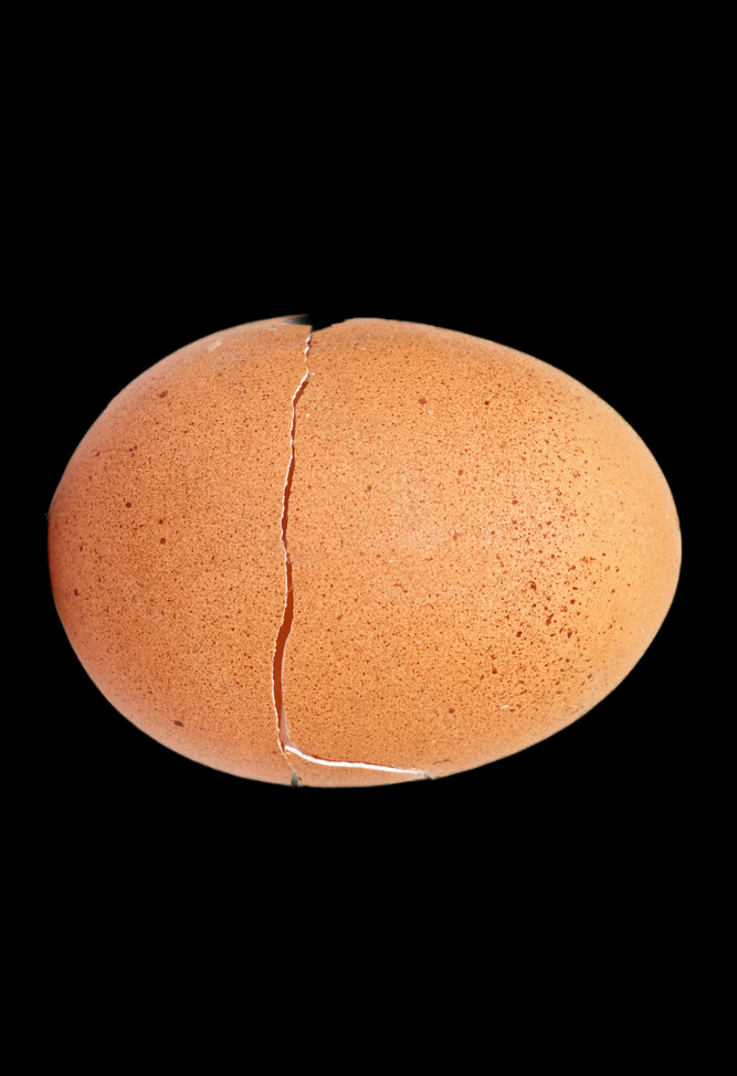 Egg Crack Detection Object Detection Dataset And Pre Trained Model By Crack Egg Detection