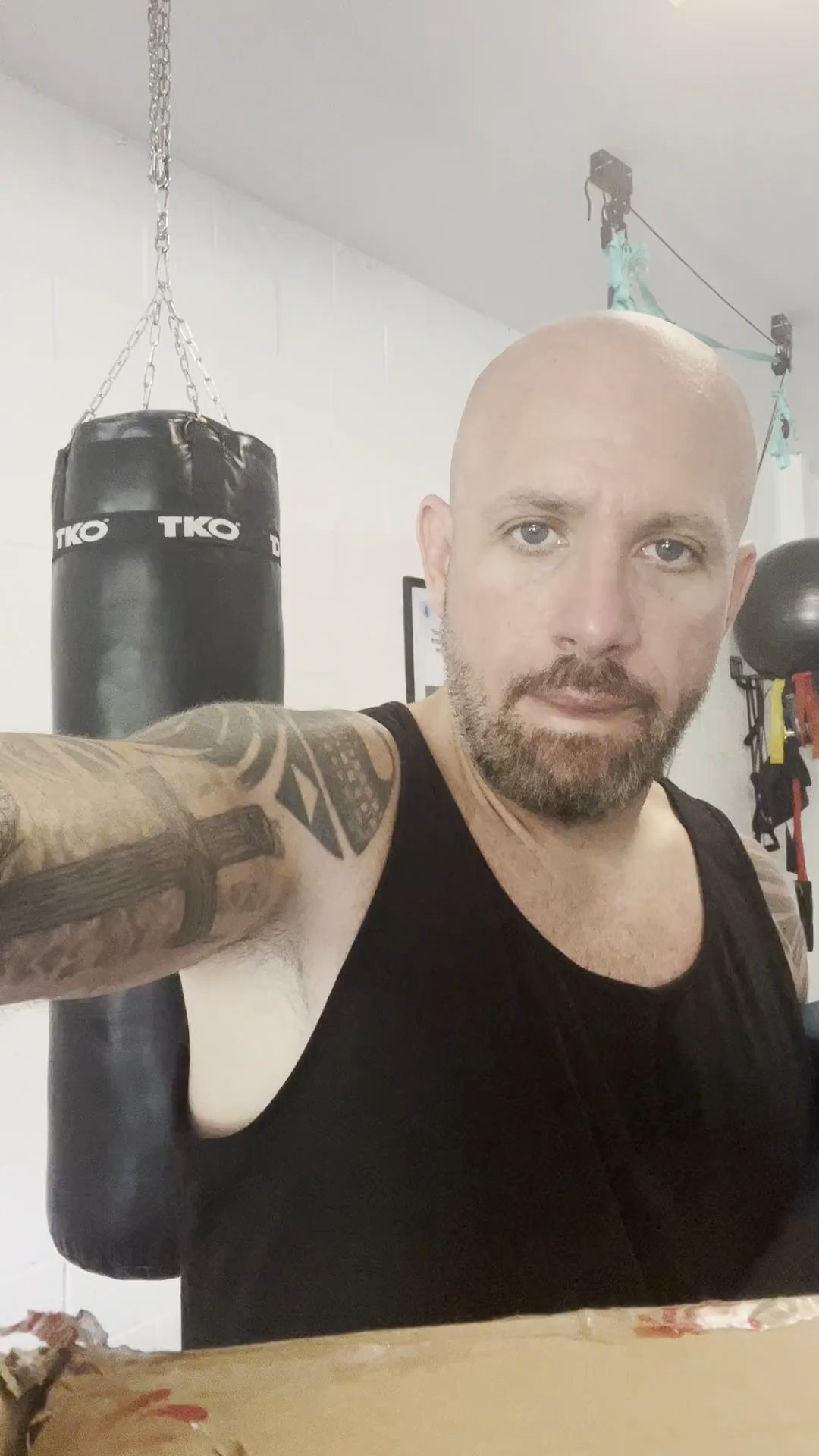 Boxpunch Detector Object Detection Dataset and Pre-Trained Model by ...