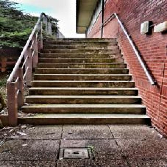 How to Use the COCO Object Detection API