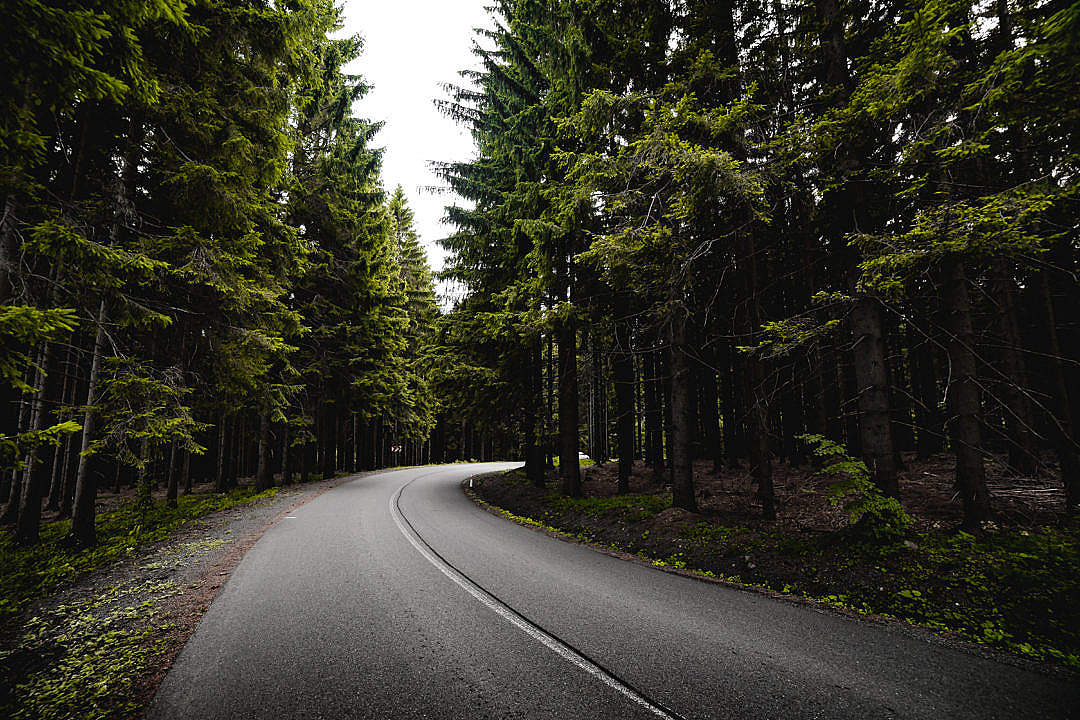 Bsd1 Object Detection Dataset By Objectdetection