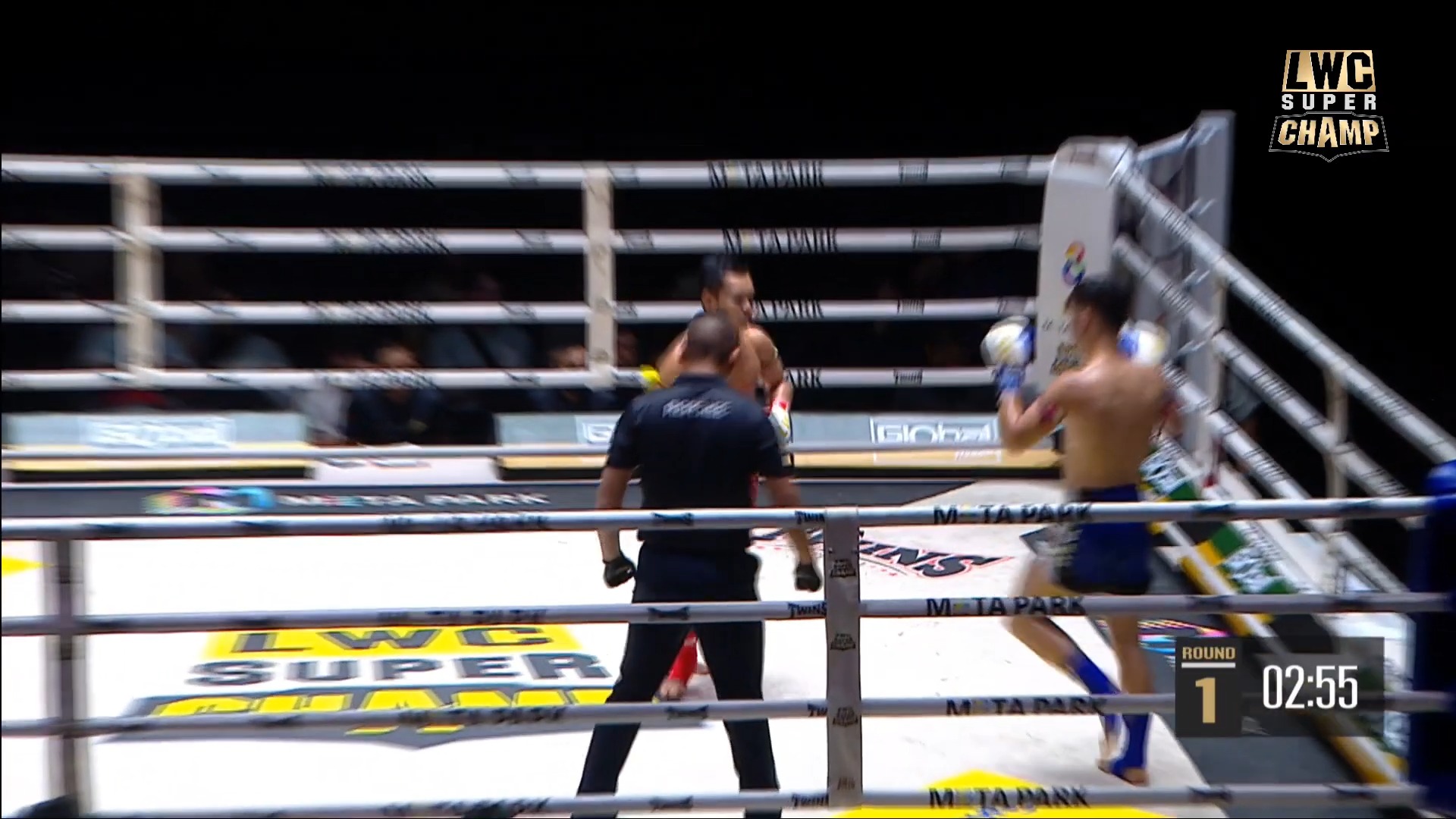 boxing Object Detection Dataset and Pre-Trained Model by project-pswjo