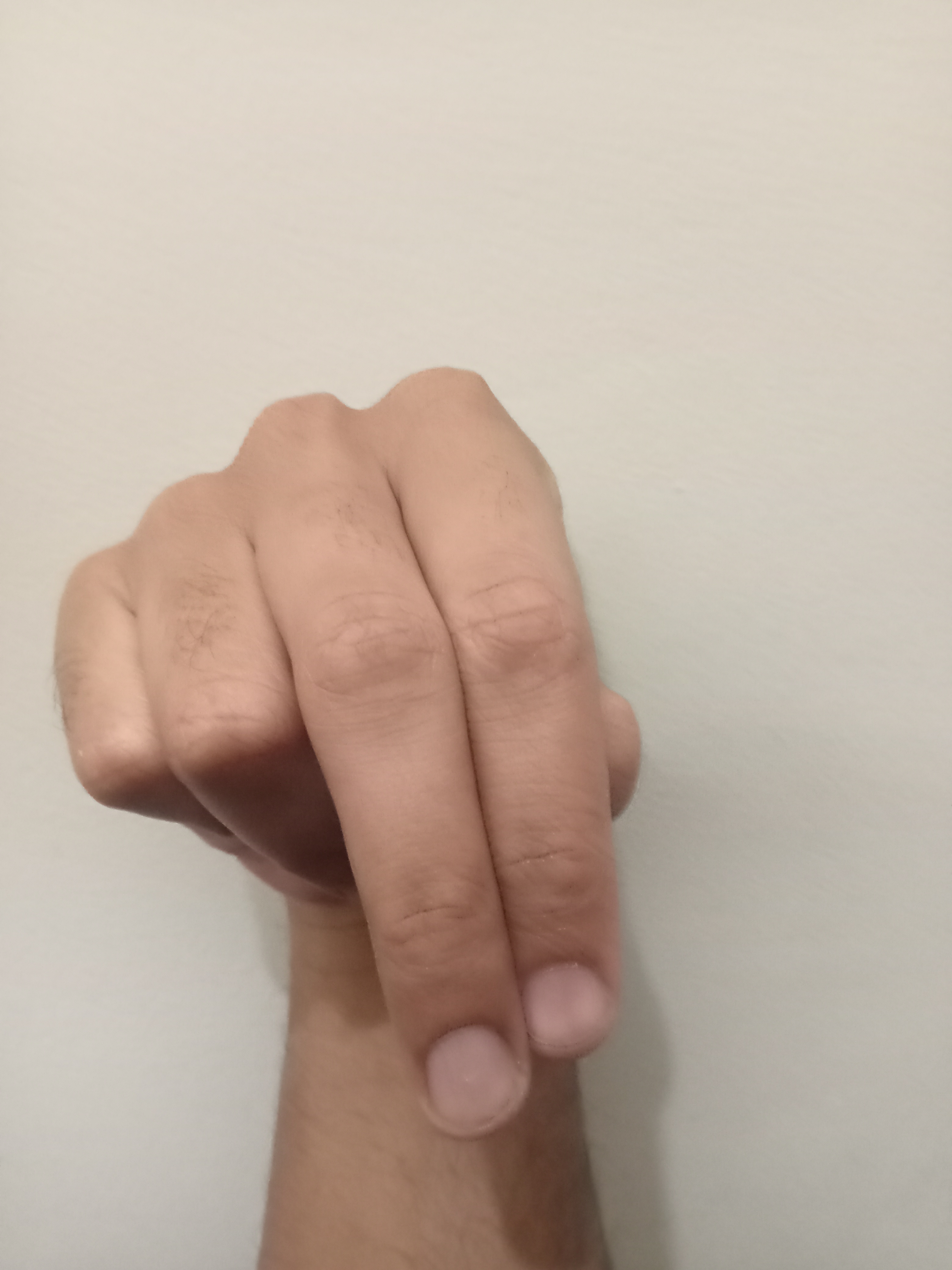 ASL Object Detection Dataset and Pre-Trained Model by DIp project