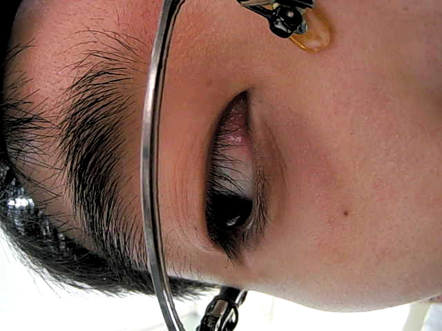 eye-tracking Object Detection Dataset and Pre-Trained Model by ...