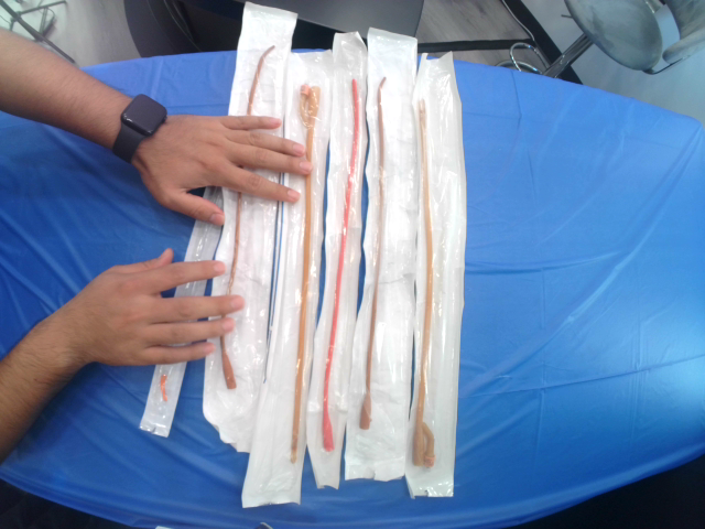 Catheter Us 18 Oct 1 Object Detection Dataset By Mirinae