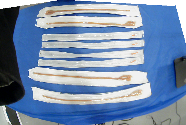 Catheter 18 Oct Object Detection Dataset By Mirinae