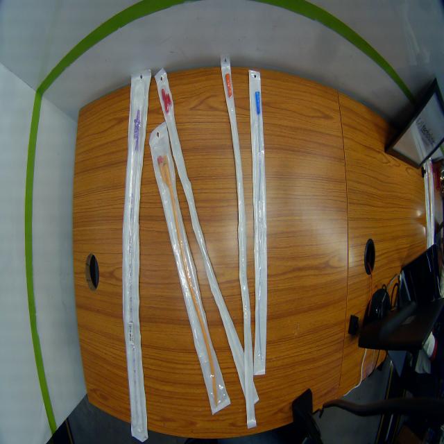 catheter_detection Instance Segmentation Dataset by mirinae