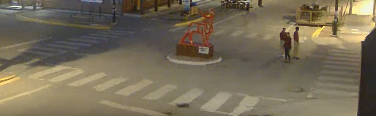 zebra crossing Object Detection Dataset and Pre-Trained Model by Abduraximworkspace