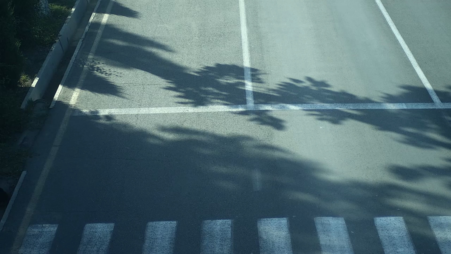 Zebra Crossing Object Detection Dataset By Abduraximworkspace