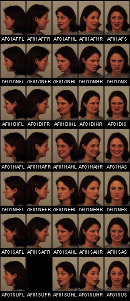 Facial Emotion Detection Classification Dataset And Pre Trained Model By Agne