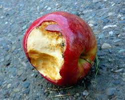 Rotten Apple Object Detection Dataset by 8sem