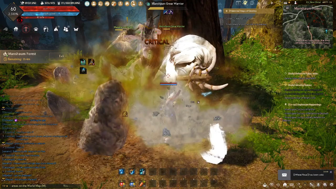 BDO_Black Desert_Manshaum Forest_Object Detection Object Detection ...