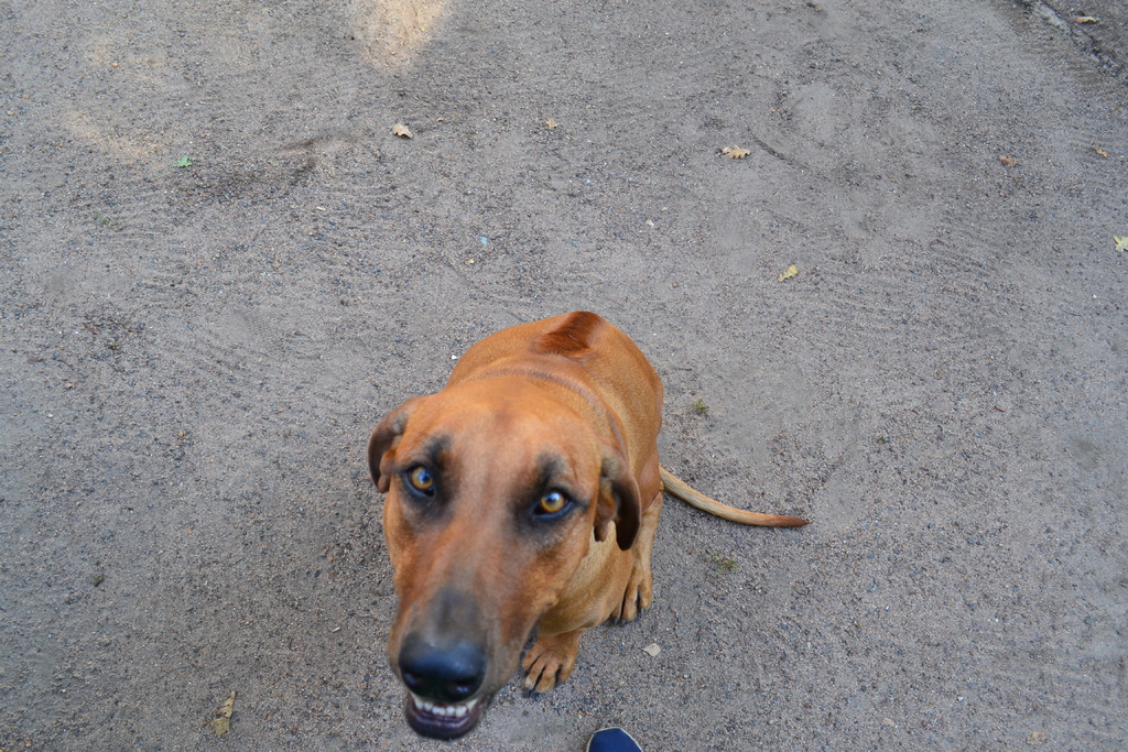 gw (gw-hxoxp) - Roboflow Universe