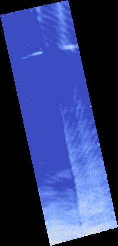 CIC-10 Object Detection Dataset by Xindi Liu