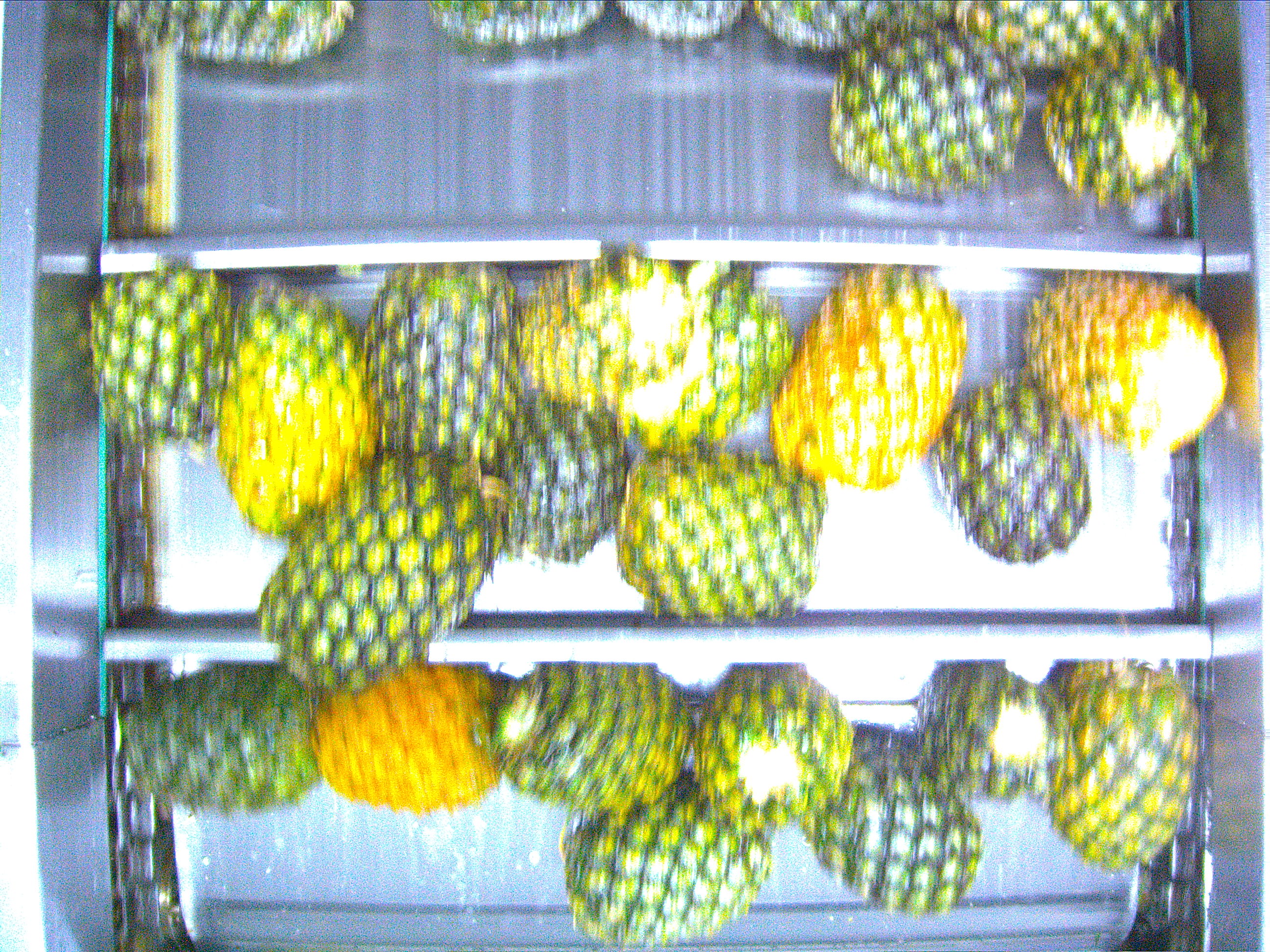 Pineapple detection Object Detection Dataset and Pre-Trained Model by SPF