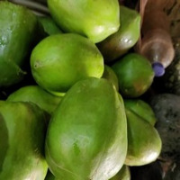 PapayaDetection Object Detection Dataset and Pre-Trained Model by DeepLearning