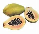 PapayaDetection Object Detection Dataset and Pre-Trained Model by DeepLearning