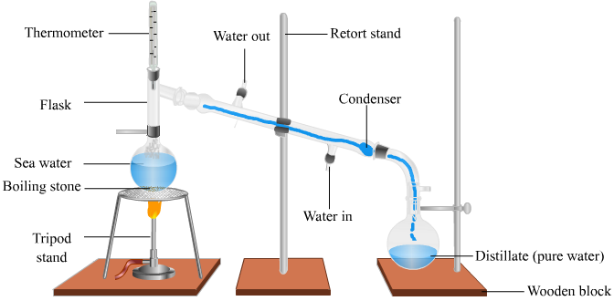 distillation-yolov5 Instance Segmentation Dataset and Pre-Trained Model ...
