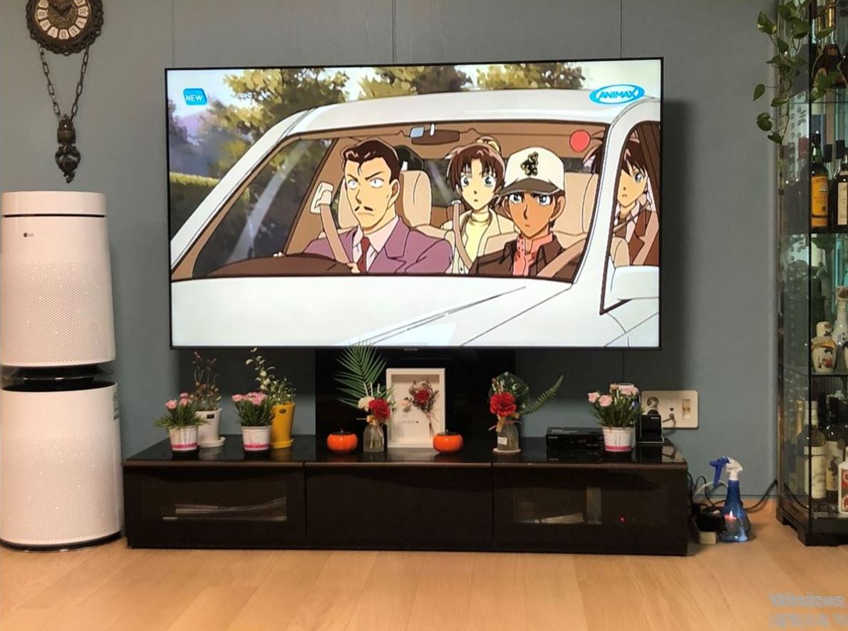 connan Object Detection Dataset and Pre-Trained Model by hi