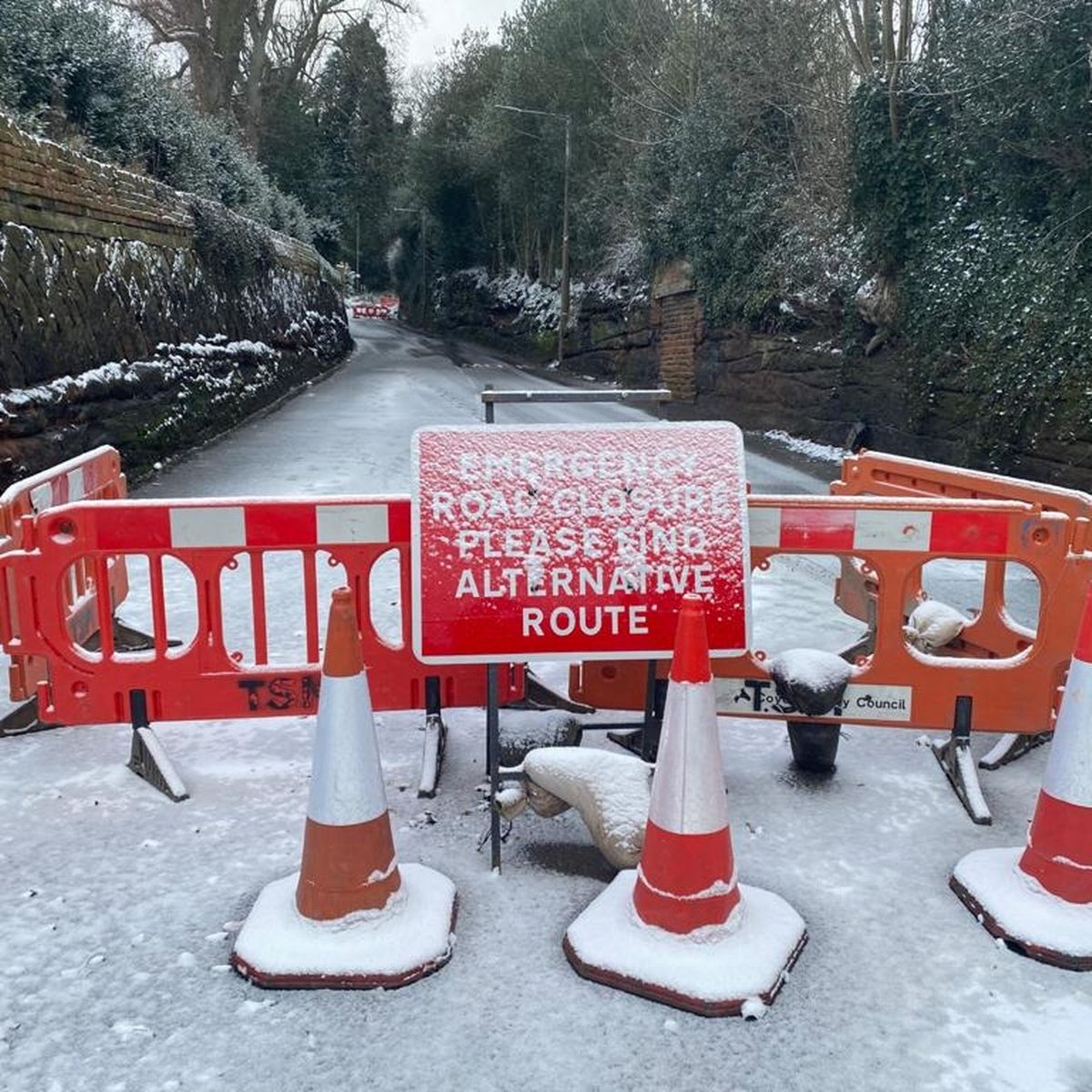 Erwu (erwu-zuxsy) - Roboflow Universe