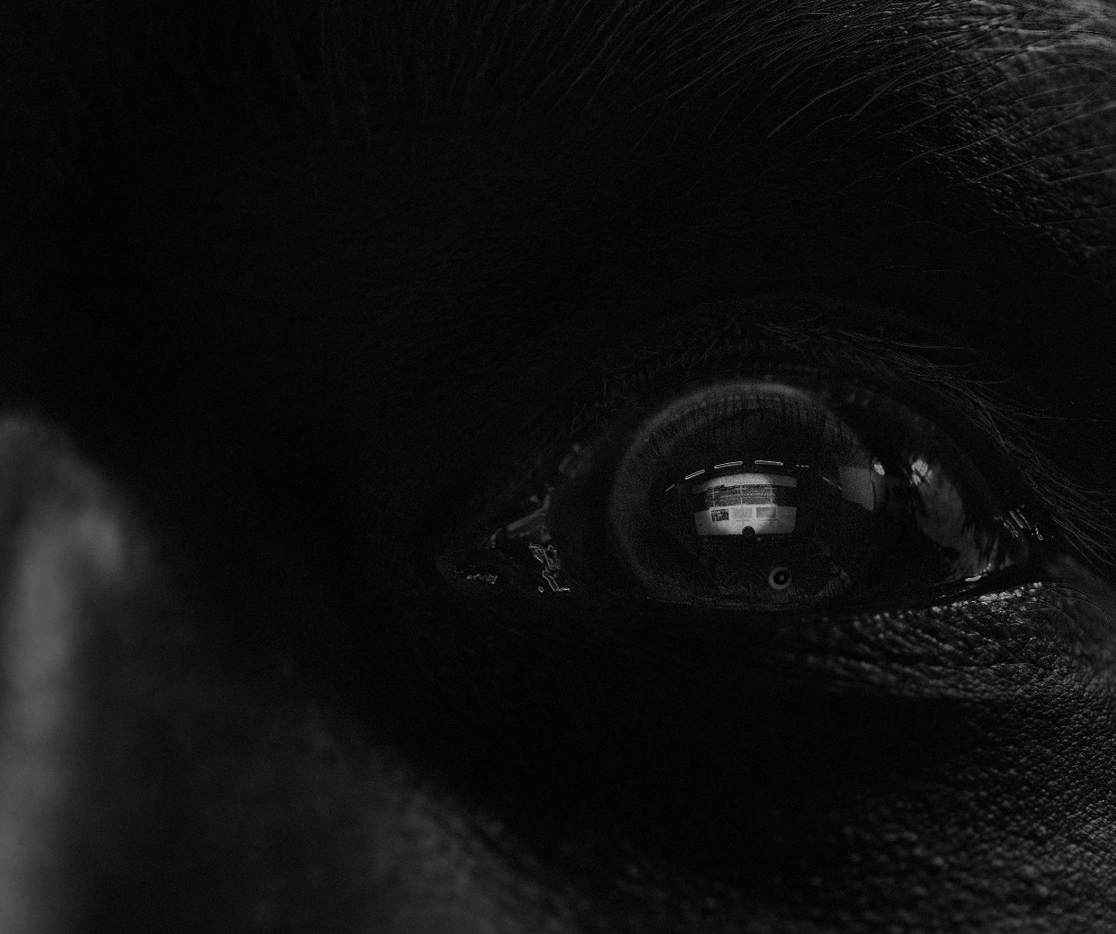 Eye_0807 Object Detection Dataset by Ayatotakemuralab