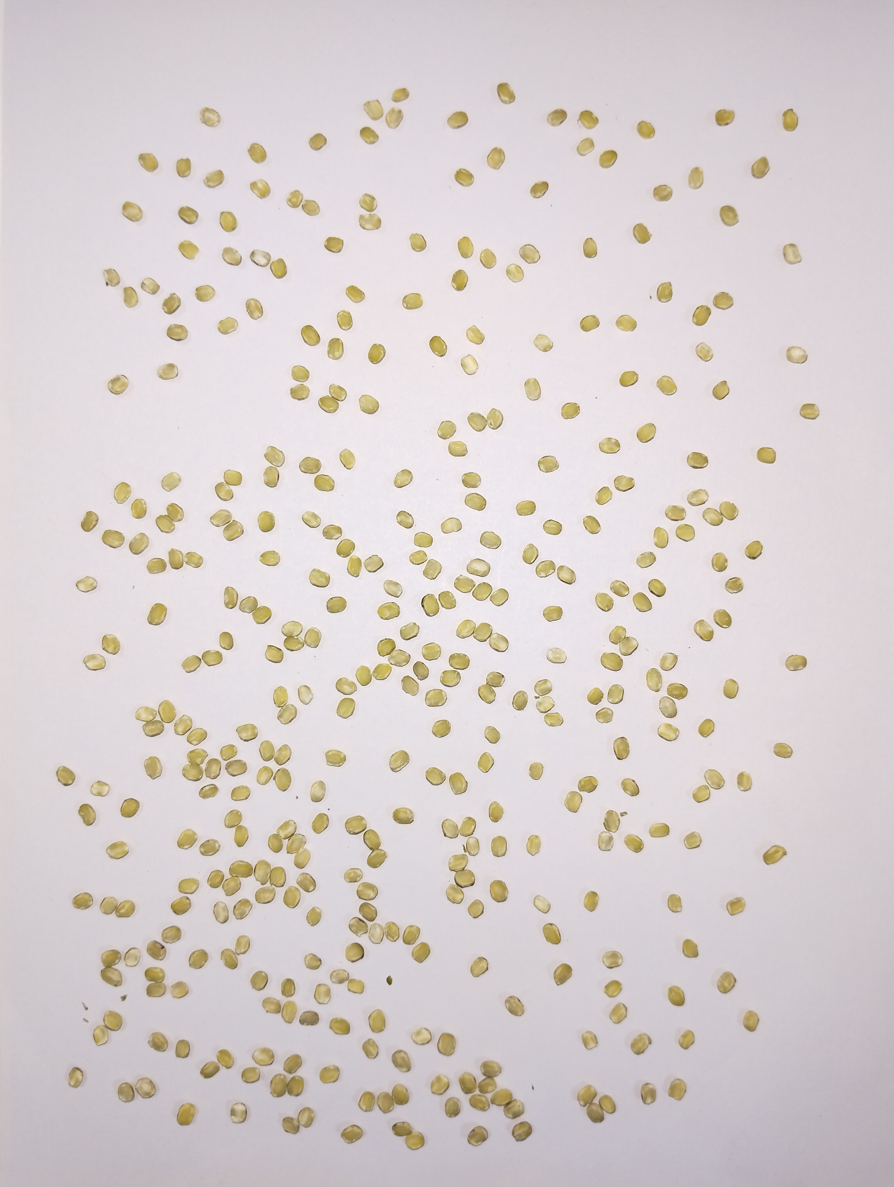 yolov7 Instance Segmentation Dataset by man