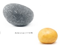 Potato Object Detection Dataset by Nabeel Abbas