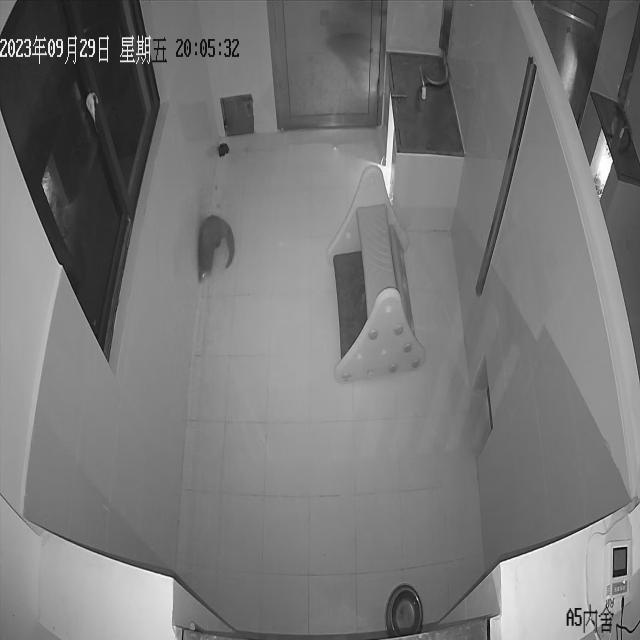 Pangolin Detection Roboflow Universe