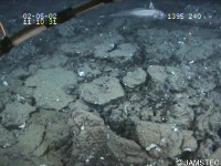 Trashcan Dataset Object Detection Dataset by Applied Machine Learning