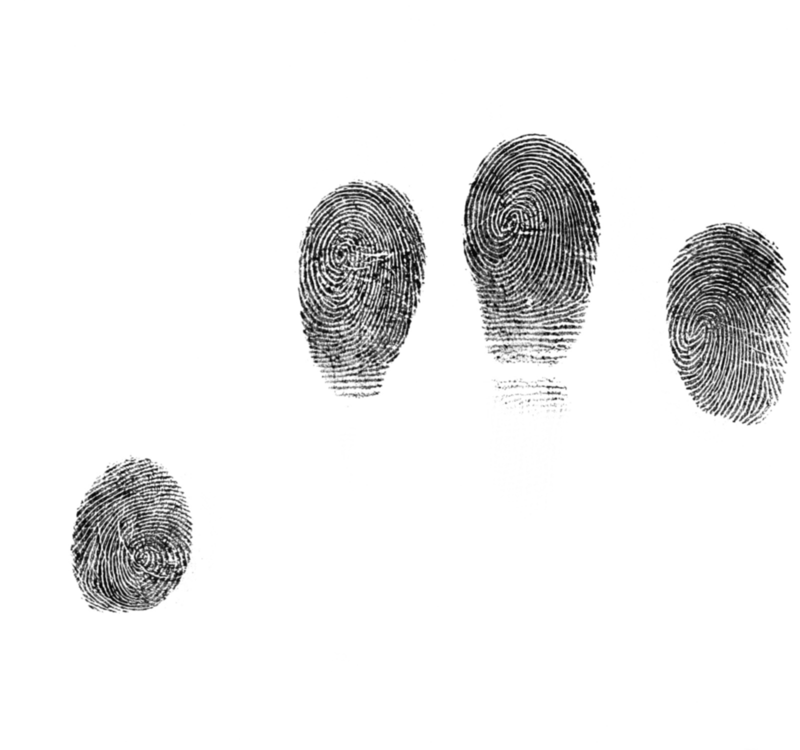 fingerprint Object Detection Dataset by Sanket Kulkarni