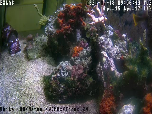 yolov8 Object Detection Dataset and Pre-Trained Model by project-a4nvh